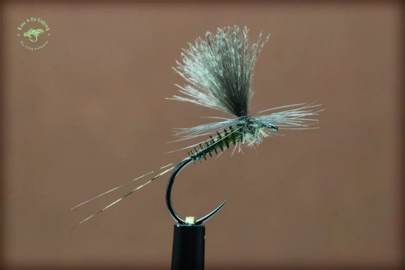 Fly Tying Gallery – Live 4 Fly Fishing
