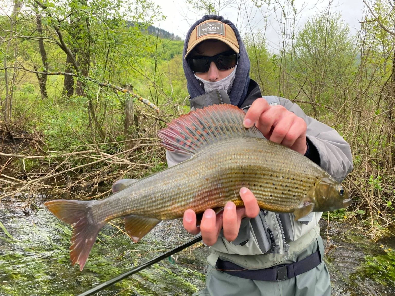 Guided Fly Fishing Trip to Bosnia | Live 4 Fly Fishing